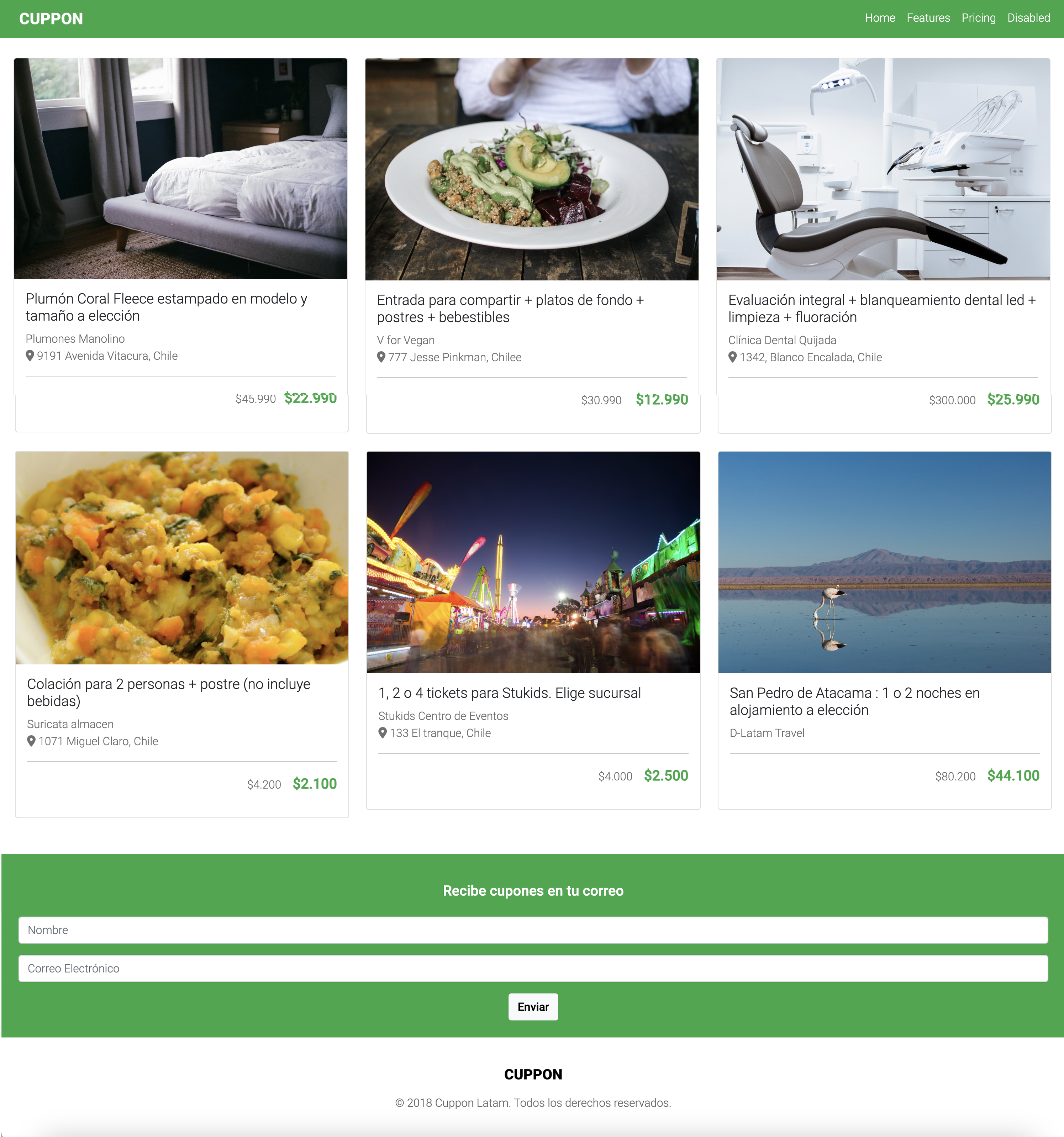 Portafolio Natalie Vidal